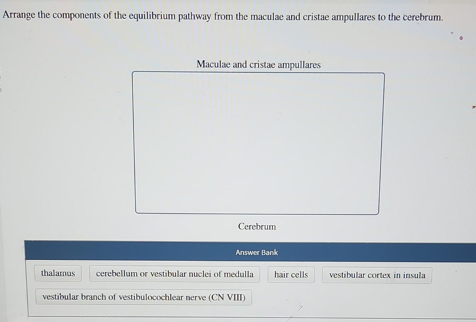 Solved Arrange the components of the equilibrium pathway | Chegg.com