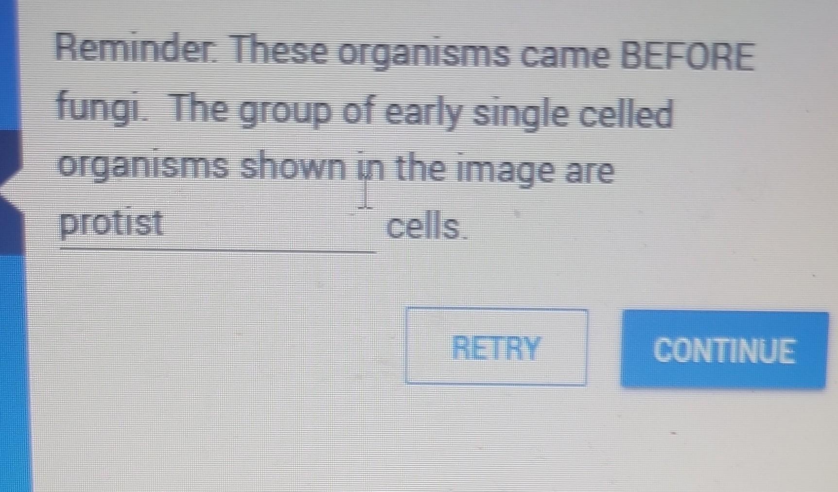 Solved The plant pictured here is a (evolutionary group or | Chegg.com