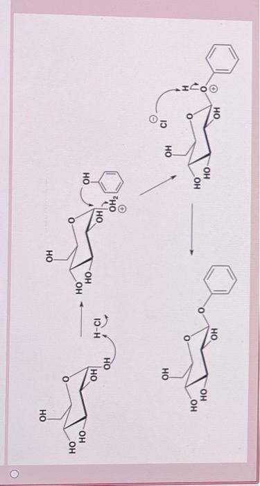 Solved Select a plausible mechanism for the following | Chegg.com