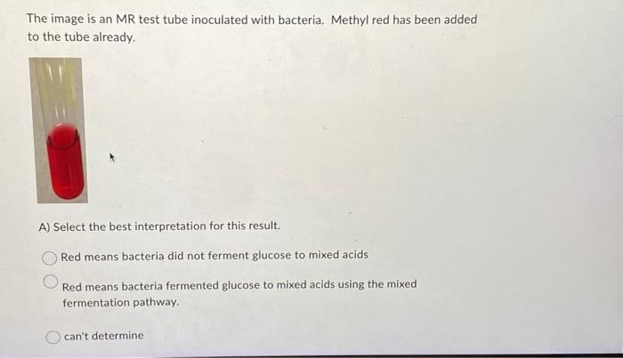 Solved A TSI slant is shown below. Were sucrose and lactose | Chegg.com