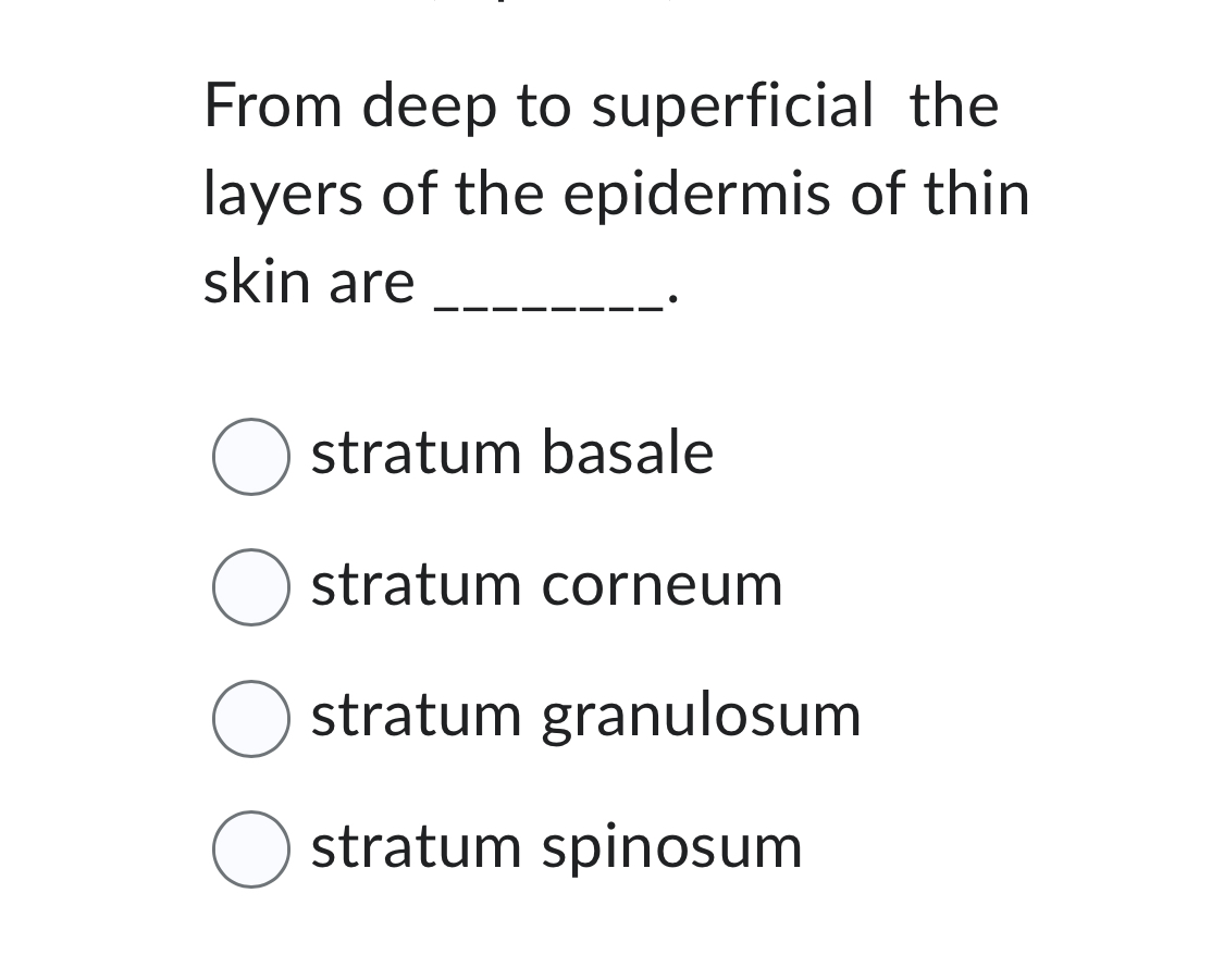 Solved From deep to superficial the layers of the epidermis | Chegg.com