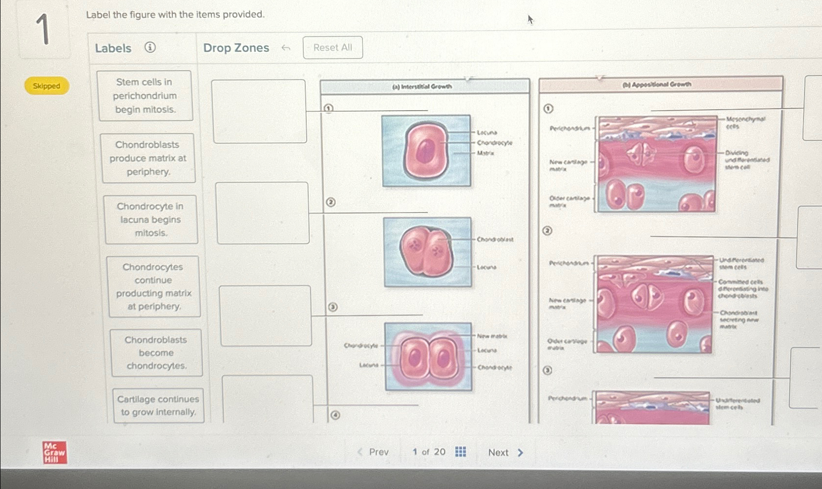 Solved 1Label the figure with the items provided.SkippedStem | Chegg.com