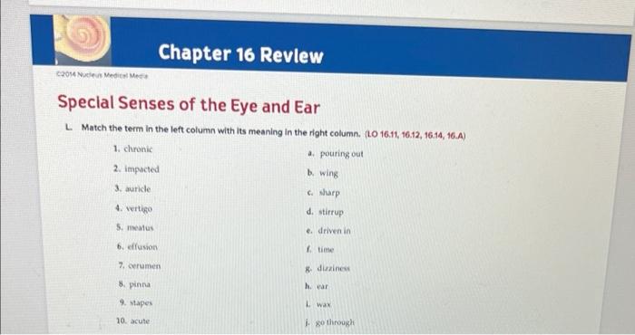 Solved Chapter 16 Review C2014 News Mediese Special Senses | Chegg.com