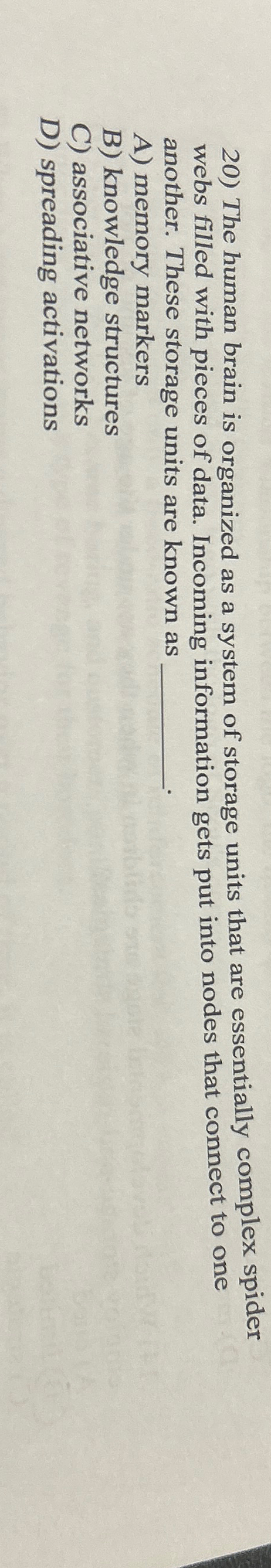 Solved The human brain is organized as a system of storage | Chegg.com