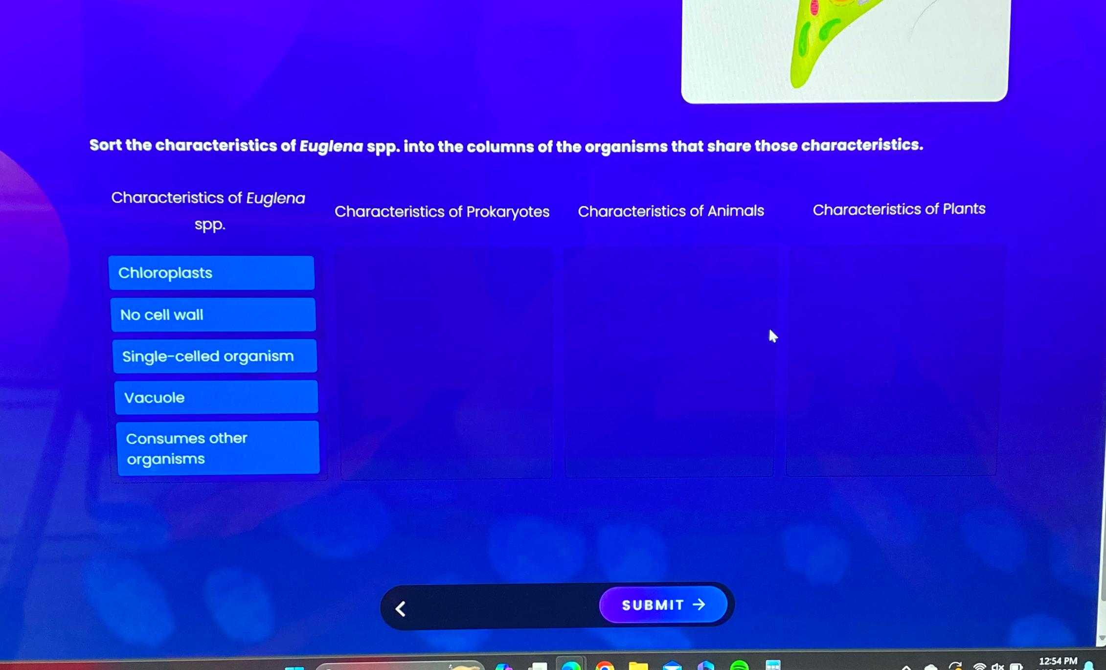 Solved Sort the characteristics of Euglena spp. ﻿into the | Chegg.com