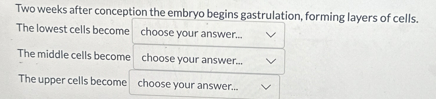 Solved Two weeks after conception the embryo begins | Chegg.com