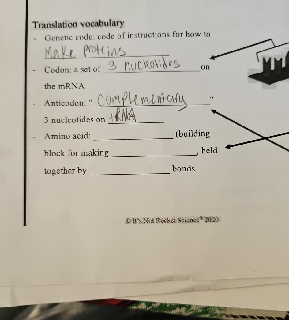 Solved Translation vocabularyGenetic code: code of | Chegg.com