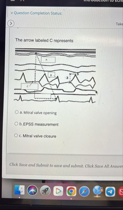 Solved Question Completion Status:The arrow labeled C | Chegg.com
