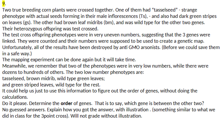Solved Two true breeding corn plants were crossed together. | Chegg.com