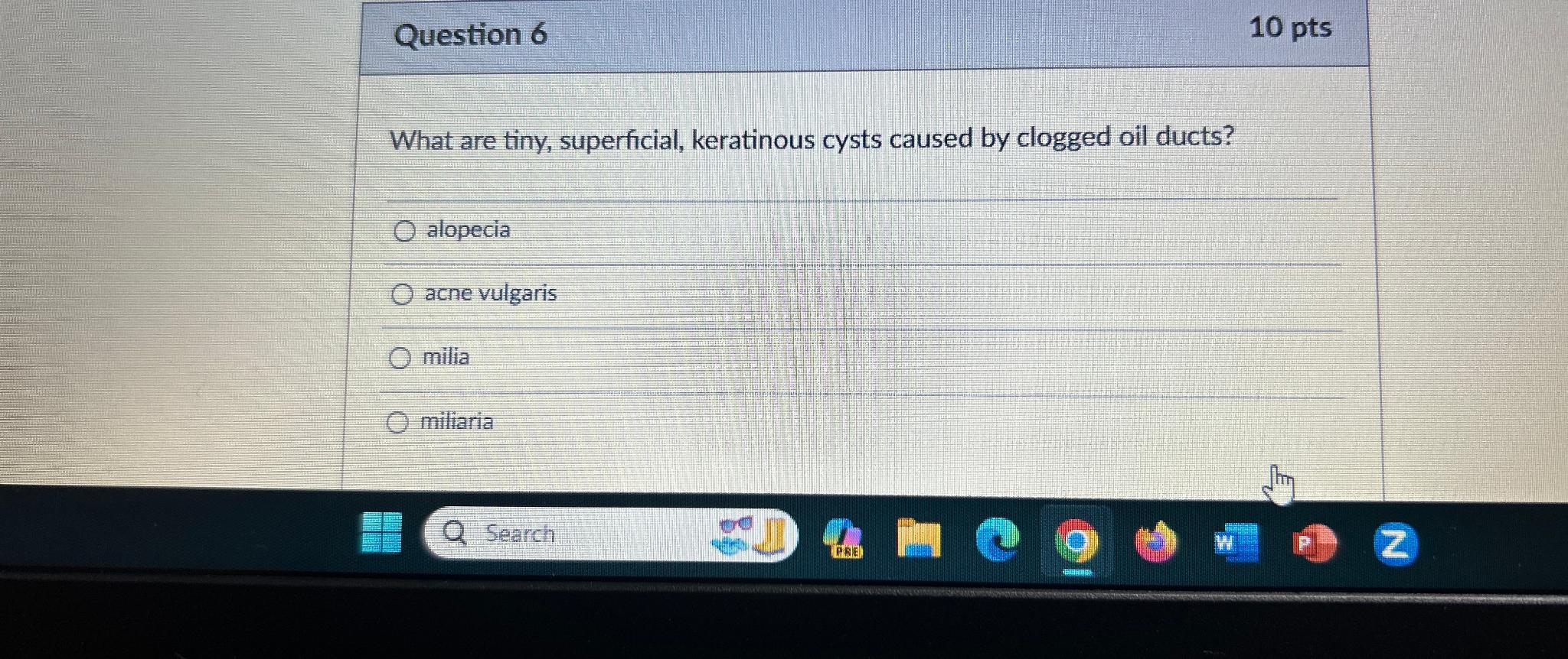 Solved Question 610 ﻿ptsWhat are tiny, superficial, | Chegg.com