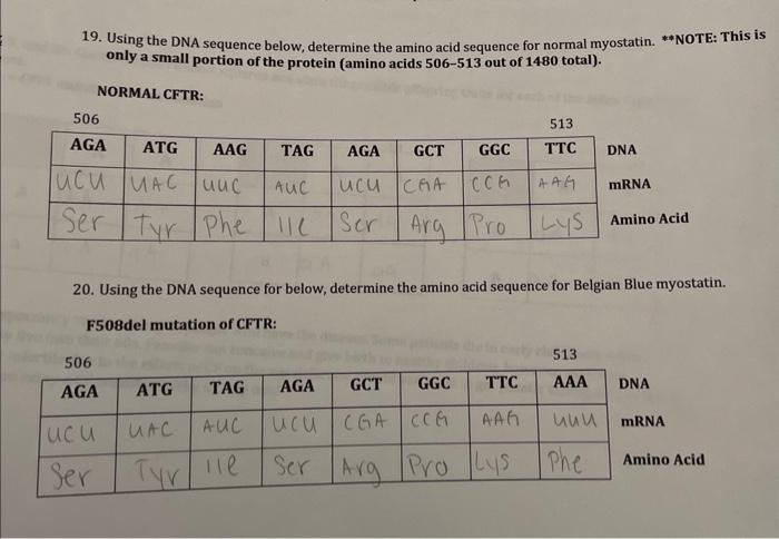 Solved 19. Using the DNA sequence below, determine the amino | Chegg.com