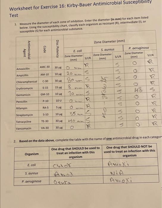 Solved Worksheet for Exercise 16: Kirby-Bauer Antimicrobial | Chegg.com