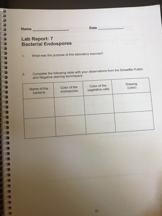 Name Date Lab Report: 7 Bacterial Endospores 1. What | Chegg.com