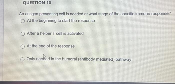 Solved An antigen presenting cell is needed at what stage of | Chegg.com