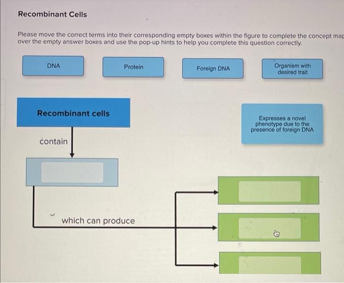 Solved Recombinant Cells Please move the correct terms into | Chegg.com