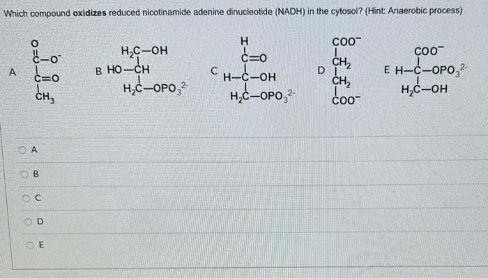 Solved Which compound oxidizes reduced nicotinamide adenine | Chegg.com