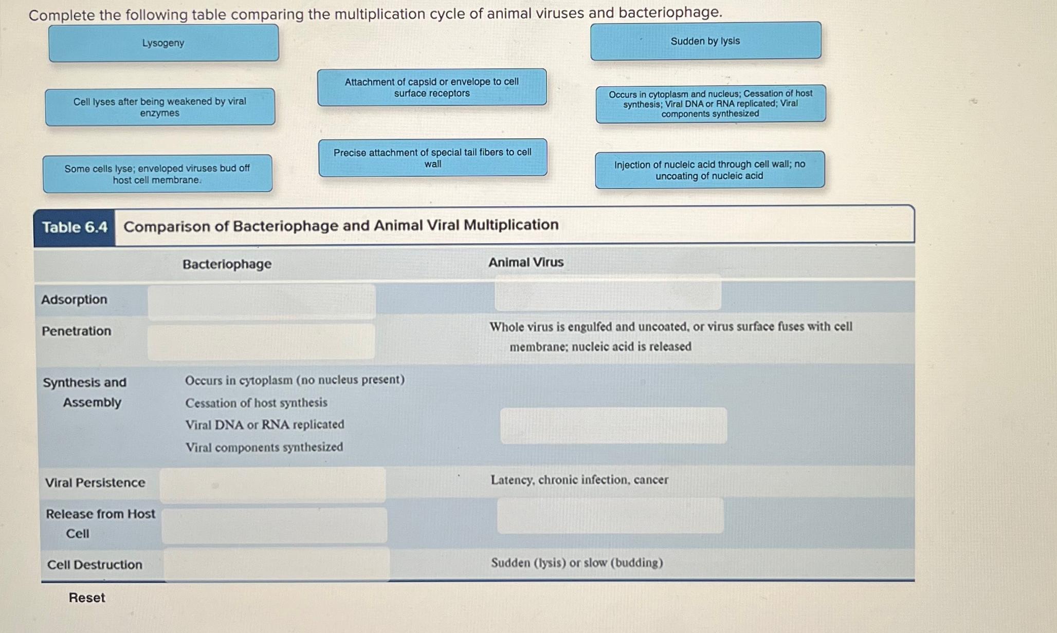 Solved Complete the following table comparing the | Chegg.com