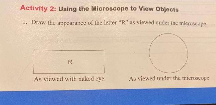 Solved Activity 2: Using the Microscope to View Objects 1. | Chegg.com