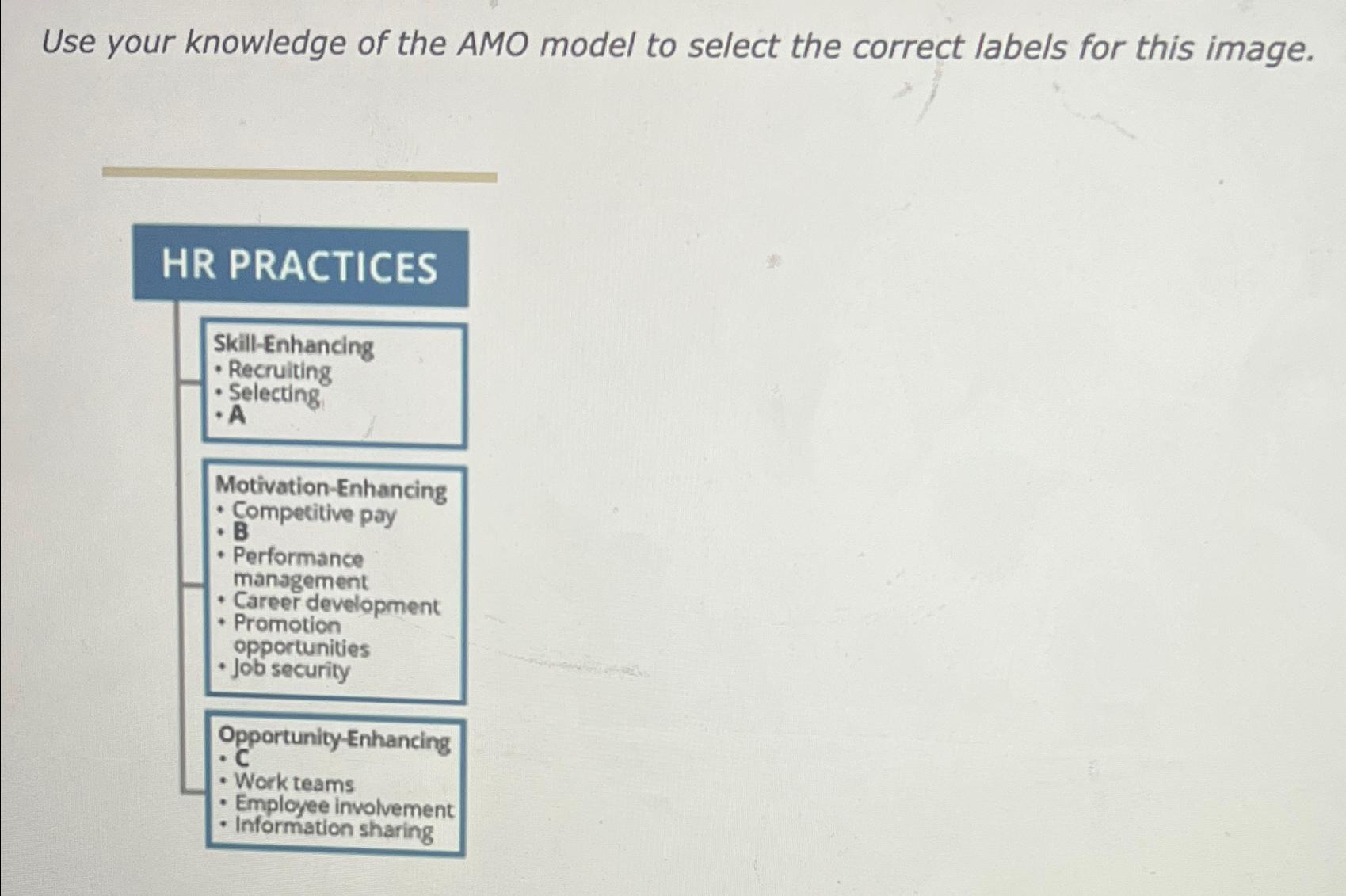 Solved Use your knowledge of the AMO model to select the | Chegg.com