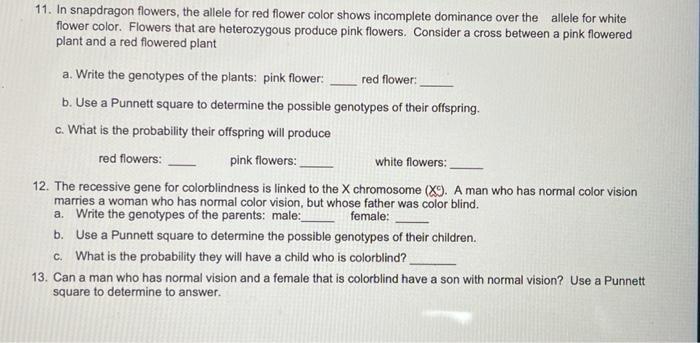 Solved 11. In snapdragon flowers, the allele for red flower | Chegg.com