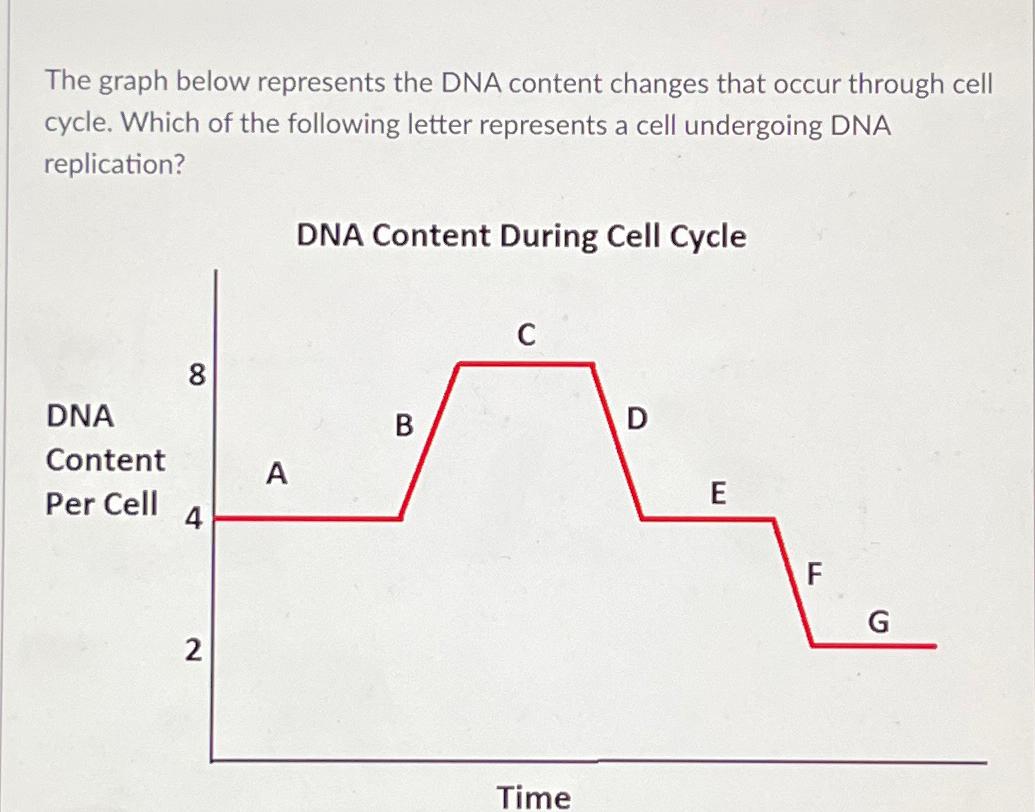 Solved The graph below represents the DNA content changes | Chegg.com