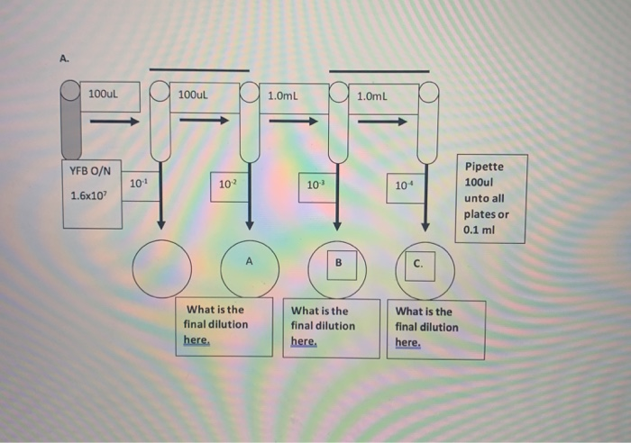 Solved Microbiology Lab - Assignment #5 (Part 1 Questions & | Chegg.com