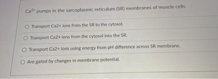 Solved Ca2+ pumps in the sarcoplasmic reticulum (SR) | Chegg.com