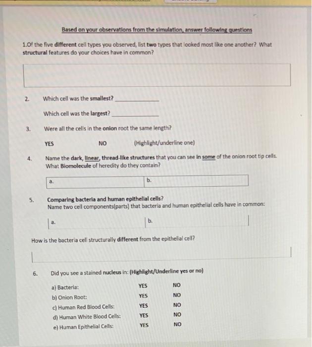 Based on your observations from the simulation, | Chegg.com