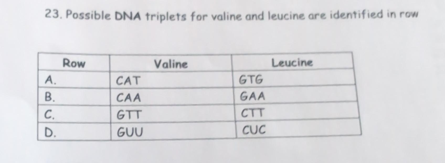 Solved Possible DNA triplets for valine and leucine are | Chegg.com