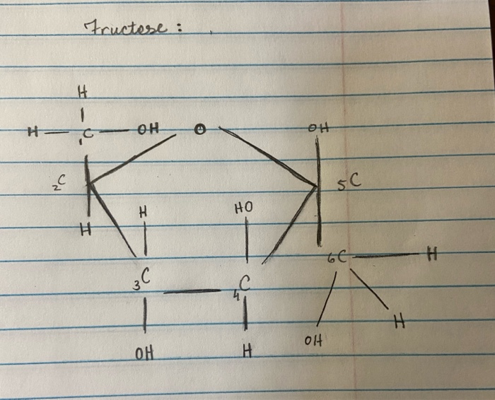 Solved 4. Answer the questions below. Glucose and fructose | Chegg.com