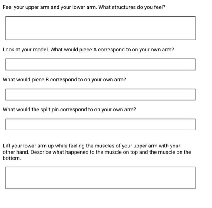 Solved Model of the Arm B split pin A Procedure 1. Download | Chegg.com