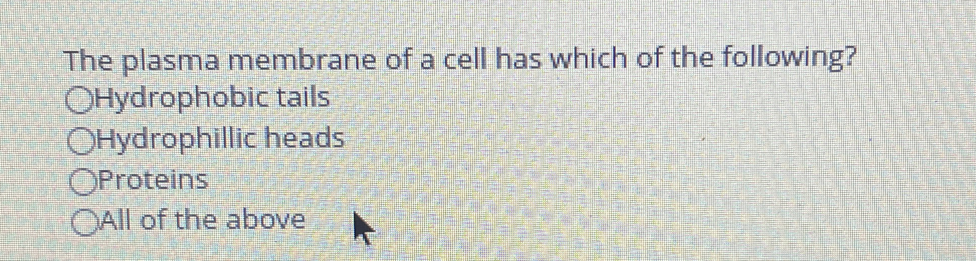 Solved The plasma membrane of a cell has which of the | Chegg.com