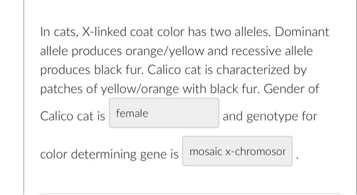 Solved In cats, X-linked coat color has two alleles. | Chegg.com