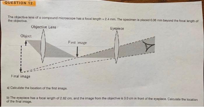 Solved QUESTION 12 The objective lens of a compound | Chegg.com