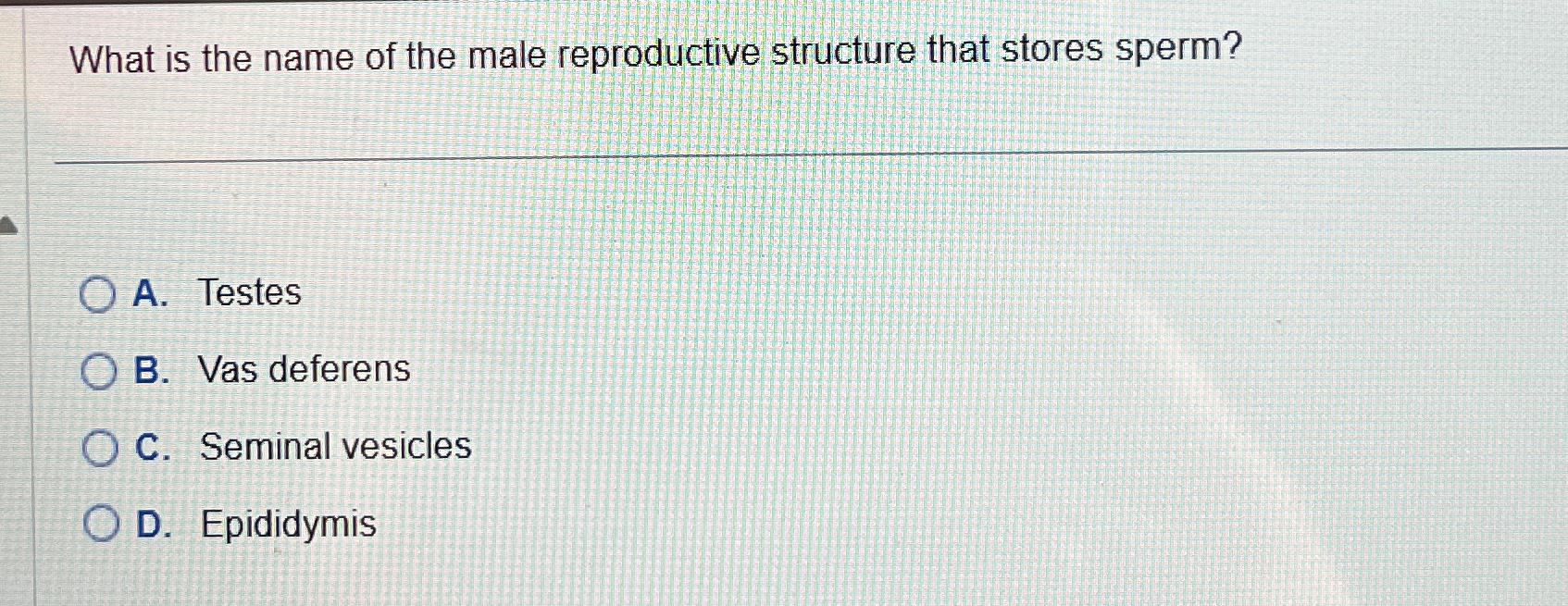 Solved What is the name of the male reproductive structure | Chegg.com