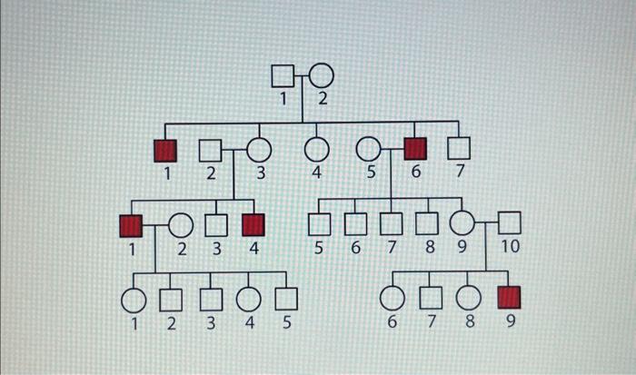 Solved Use the information gathered in the Interpretation of | Chegg.com