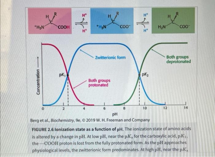 Solved FIGURE 2.6 lonization state as a function of pH. The | Chegg.com