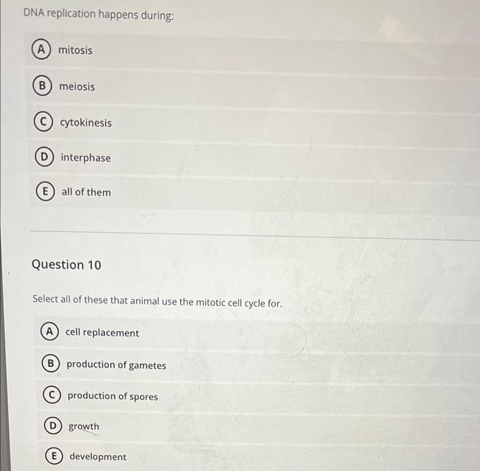 Solved DNA replication happens during: A mitosis B meiosis | Chegg.com