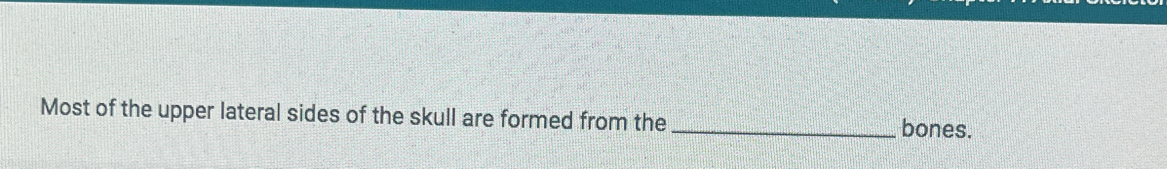Solved Most of the upper lateral sides of the skull are | Chegg.com
