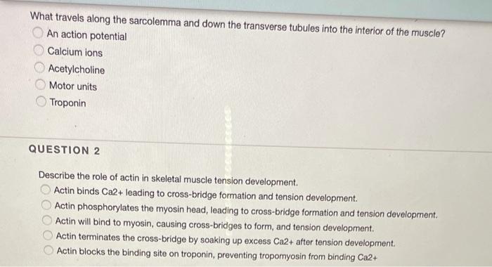 Solved What travels along the sarcolemma and down the | Chegg.com