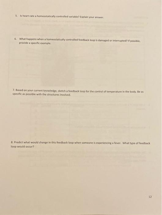 Solved Model 1 Negative Feedback Loop Homeostasis Is An