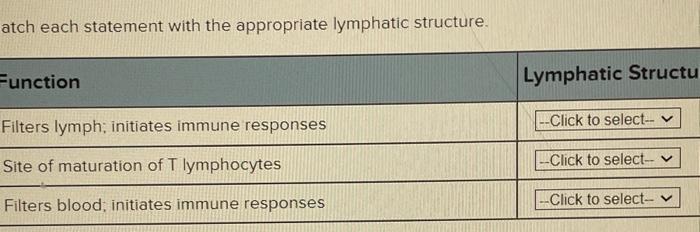 Solved Function the appropriate lymphatic structure. Filters | Chegg.com