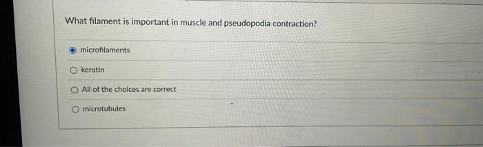 Solved What filament is important in muscle and pseudopodia | Chegg.com