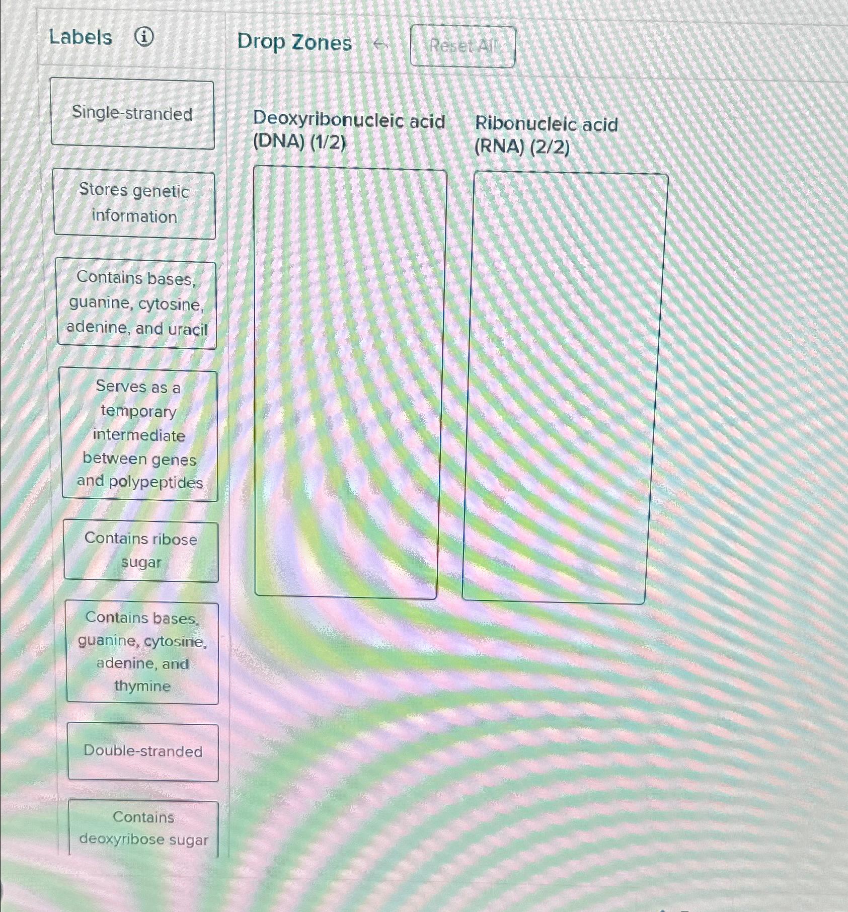 Solved Labels(i)Drop ZonesDeoxyribonucleic acid | Chegg.com