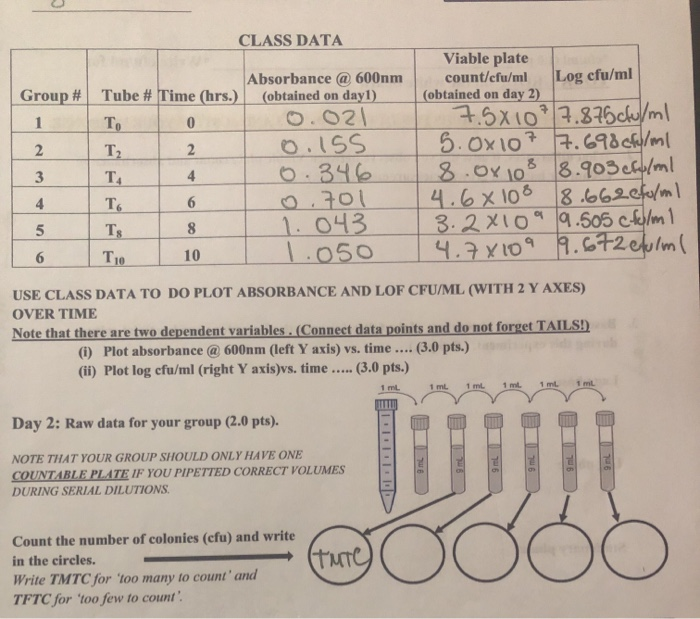 Solved OD @ Goonm Time Chours) → Log etu/ml CLASS DATA | Chegg.com