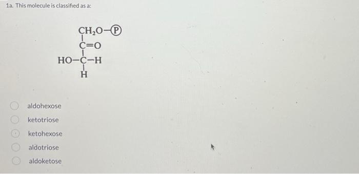 Solved Select which of the following sugar molecules that | Chegg.com