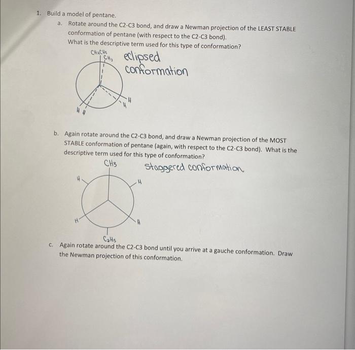 Solved 1. Build a model of pentane. a. Rotate around the | Chegg.com
