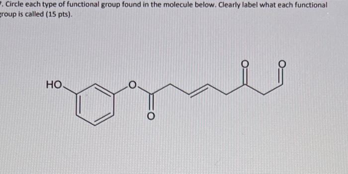 Solved Circle each type of functional group found in the | Chegg.com