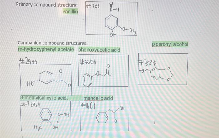 Solved primary structure | Chegg.com