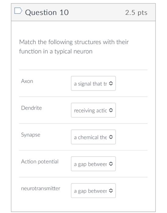 Solved Question 10 2.5pts Match the following structures | Chegg.com